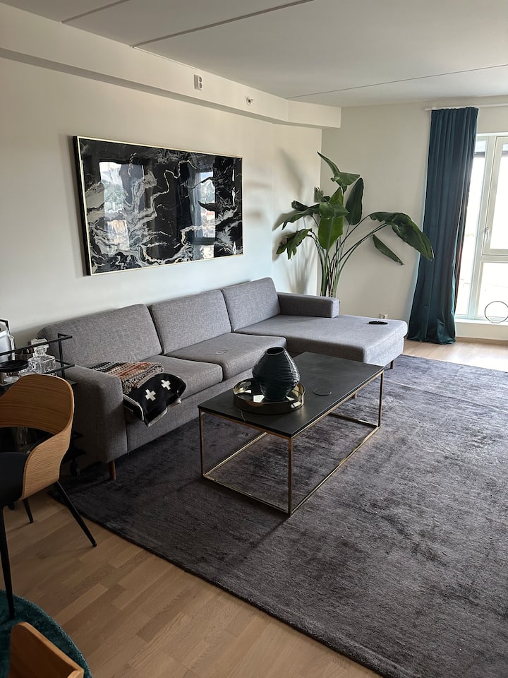 New & Spacious 2-bedroom Apt W/private Balcony - Oslo