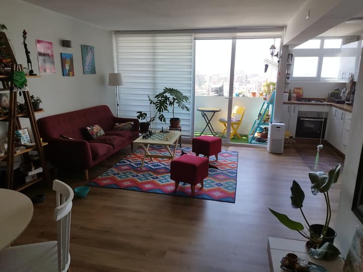 Luminosa Habitación - Providencia