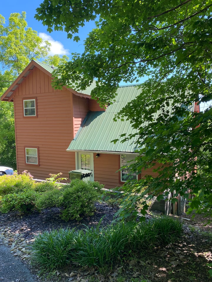 6 Guests | Mtn Views | Peak Fall Foliage | Dogs Ok - Sevierville, TN