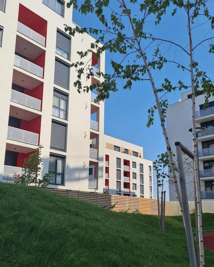 2024 Ared Abode ,Afi Mall , Atrium Mall - Arad