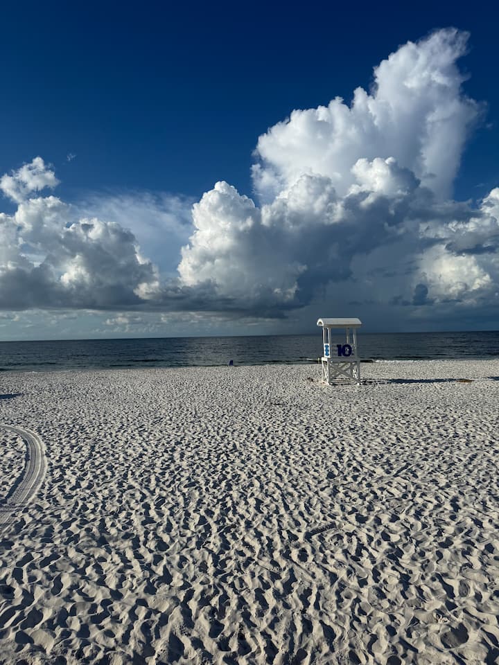 Pool & Gulf Views - Beach Across Street - Gulf Shores, AL
