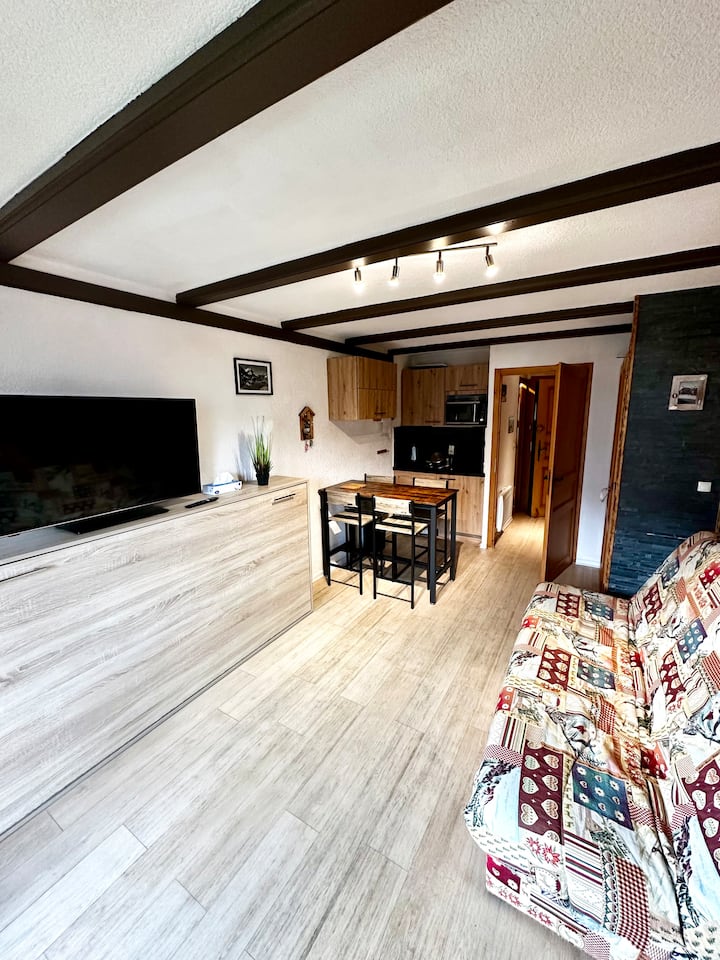 Studio Au Pied Des Pistes - Châtel