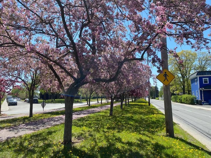 Quiet Place Next To Montreal - 朗基爾