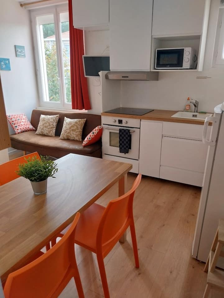 Appartement 1 Chambre " Le Coquillage" - Saint-Palais-sur-Mer