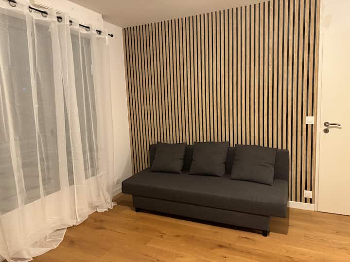 Appartement Fabuleux-10 Minute Gare De Lyon-paris - Saint-Maurice