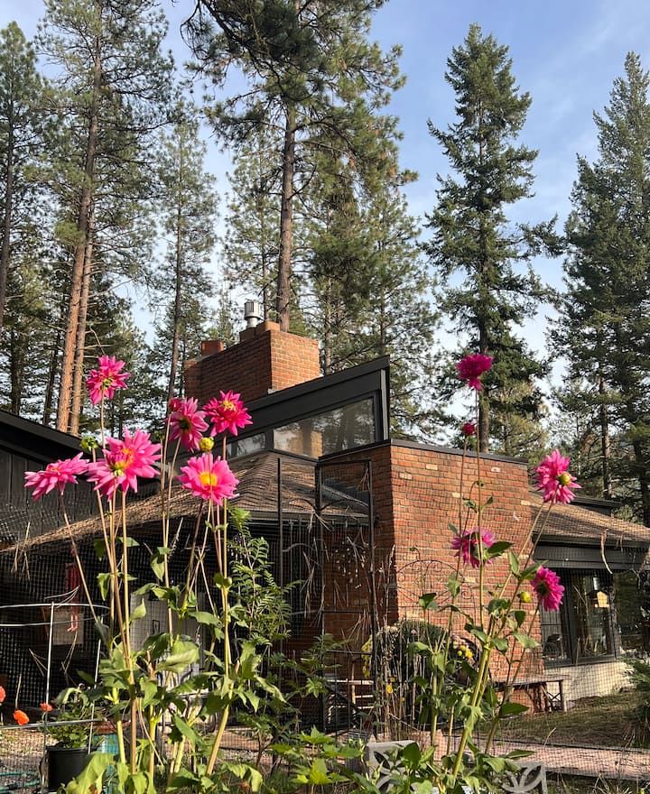 Unique Private Forest Home - Missoula, MT