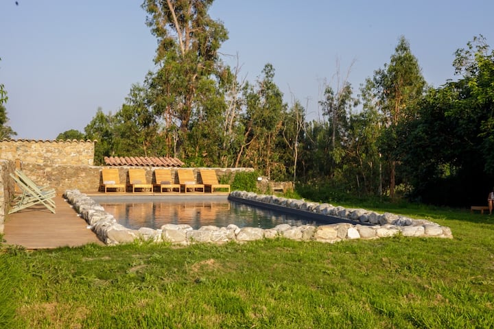 Coticcio | Domaine Marquiliani - Aléria