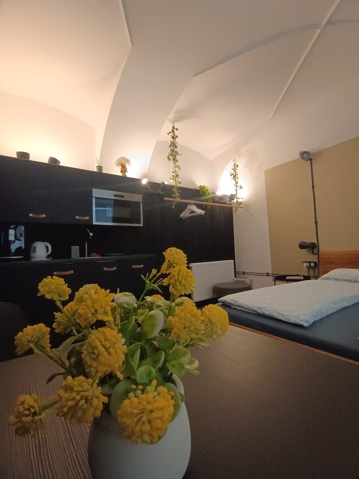 Bratislava Center Apartment 2, Self Check In - Bratislava