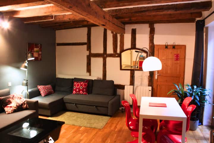 Appartement Centre Petite France: Le Petit Kneckes - Strassburg