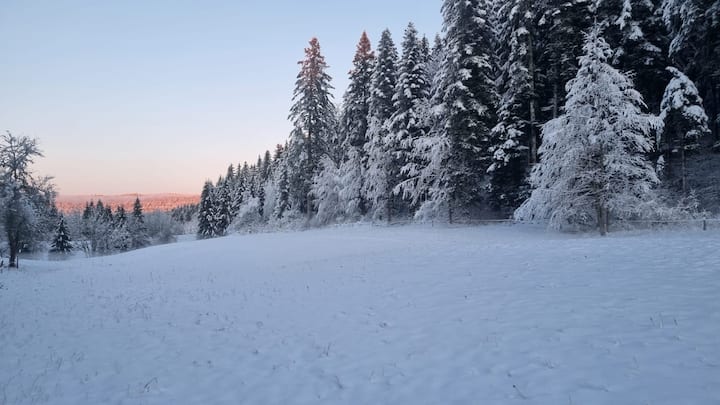 Appartement T3 60m² Massif Du Haut Jura - Bois-d'Amont