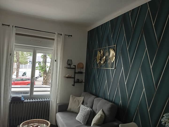 Appartement Hyper Centre 1 . Jardin Clos - Caudan