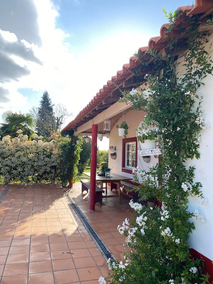 Cottage Oliva Com Piscina Privada - Braga