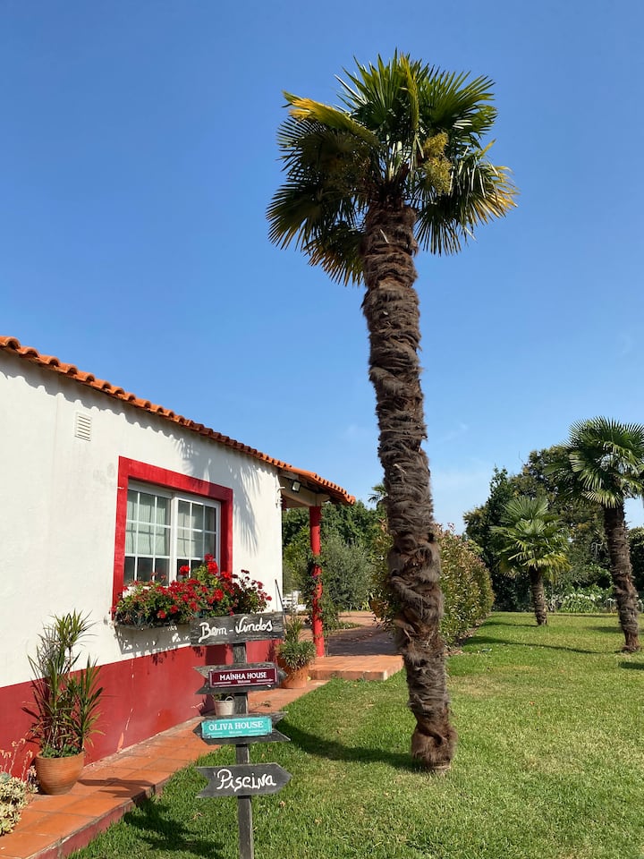Cottage Oliva - Braga
