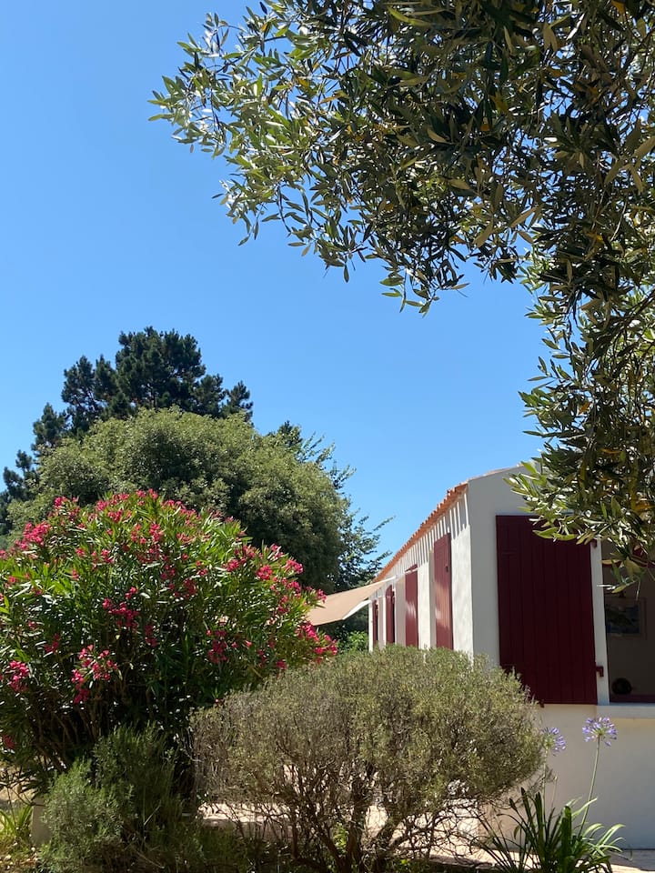 Maison Familiale, Plage à Pied - L'Île-d'Yeu