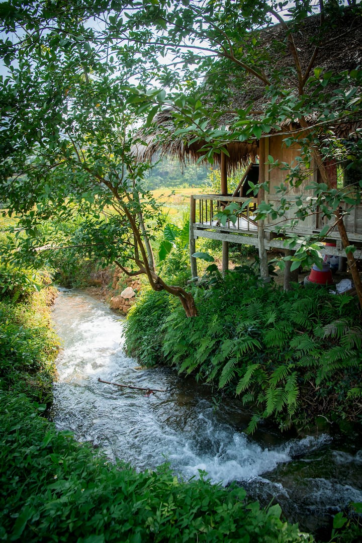Streamside 360º - Vietnam