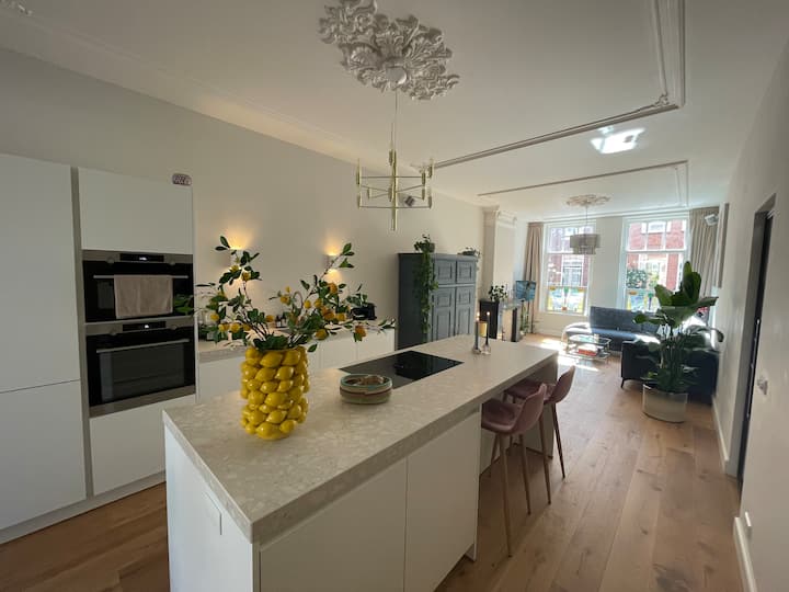 Ruim Appartement Vlakbij Het Strand - La Haye