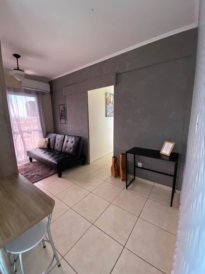 Apto 02 Dorm. Prox. Av Dom Pedro - Ribeirao Preto
