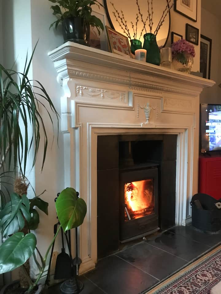 Cosy Central Old Terraced House - Dublin