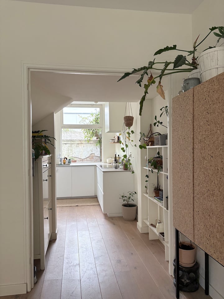 Beach House Scheveningen - Roof Terrace - Rijswijk