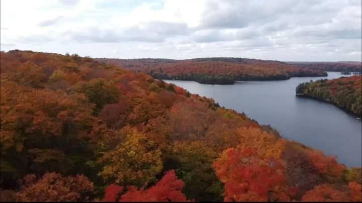 Cottage In Nature's Paradise - Ontario