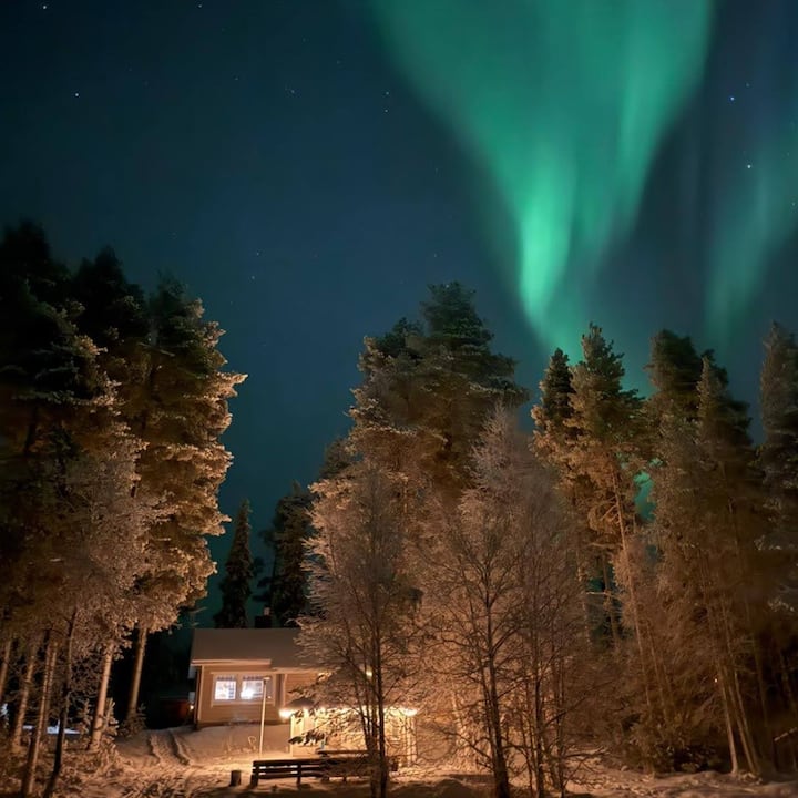 With Pets To A Lakeside Cabin To The Northeast - Finland
