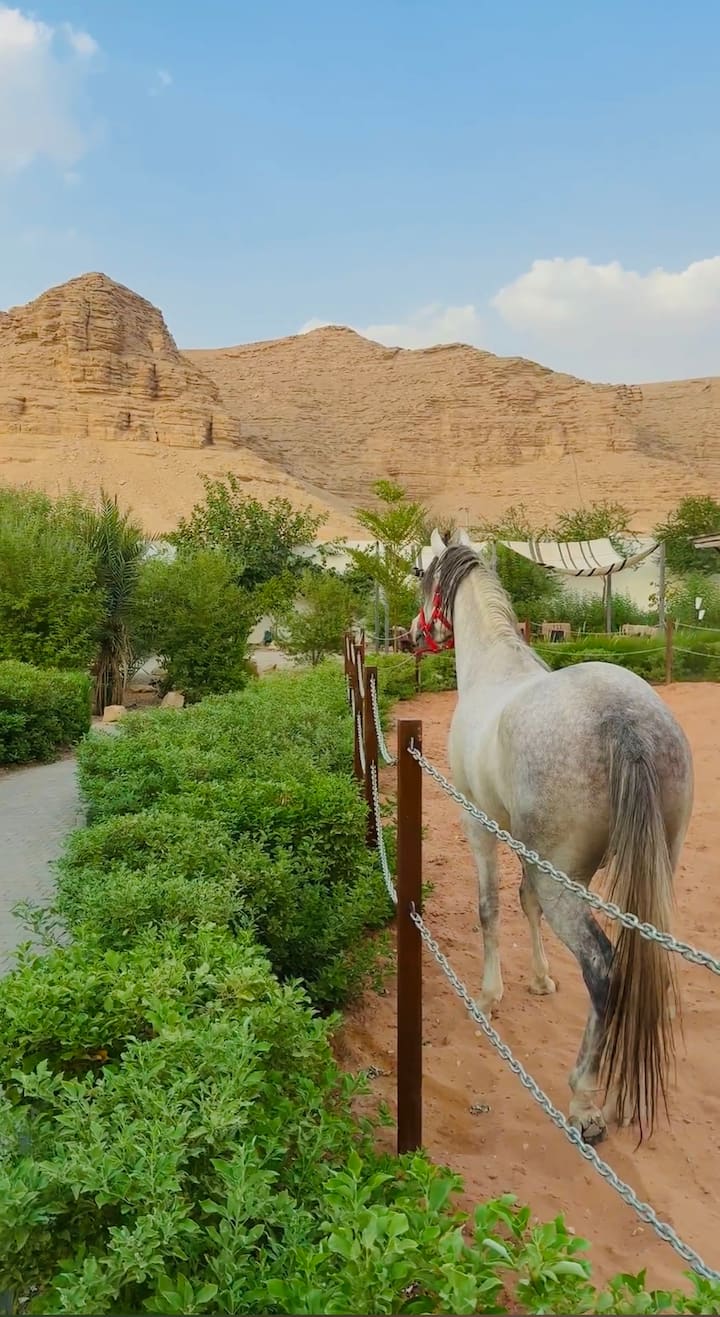 منتجع طويق فيو الفندقي - Arabie saoudite