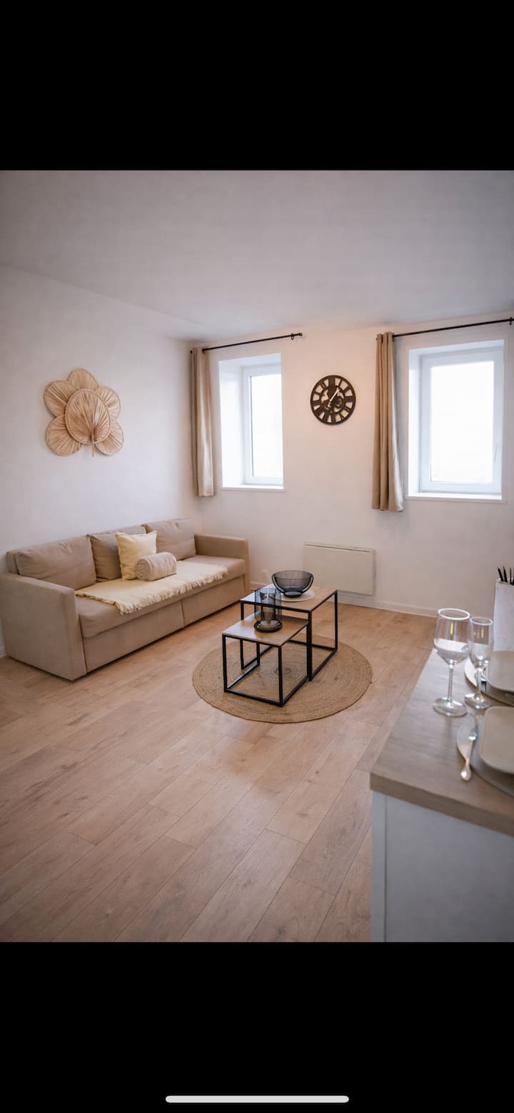 Joli T2 Proche Parc Expo - Mulhouse