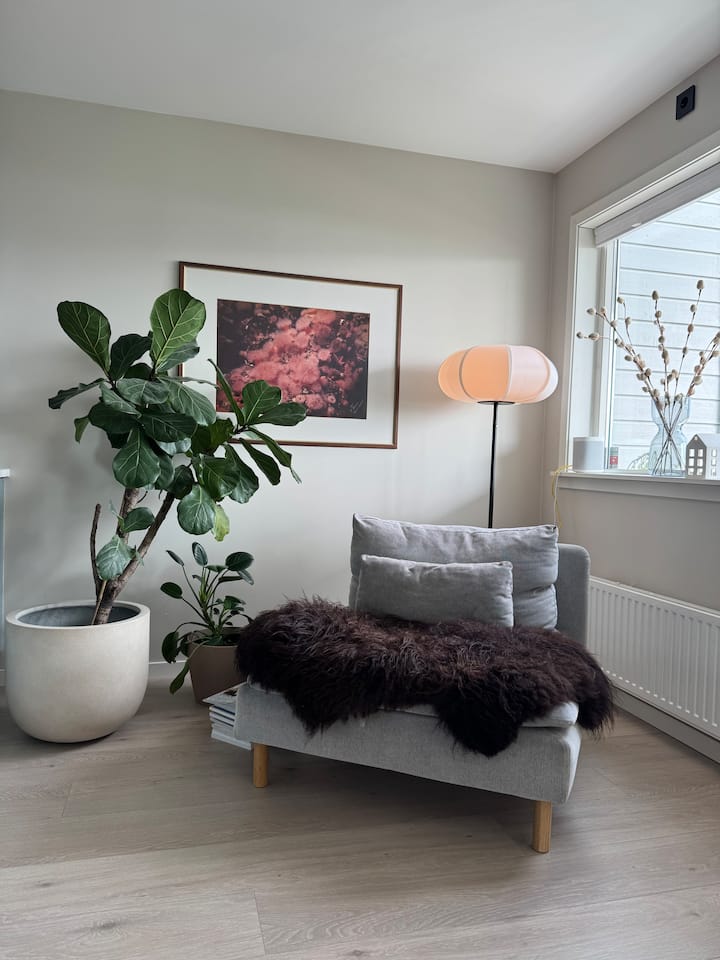 Innbydende Hjem I ÅLesund - 阿雷松德
