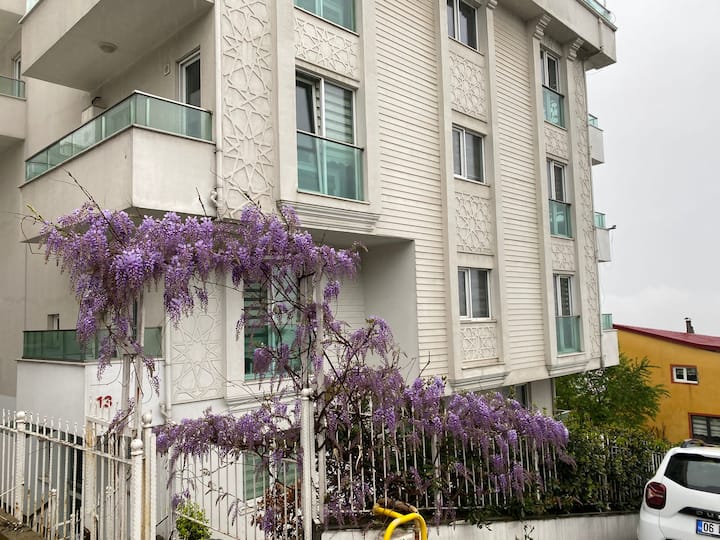 Trabzon Vip Panoramik şEhir. - Trabzon