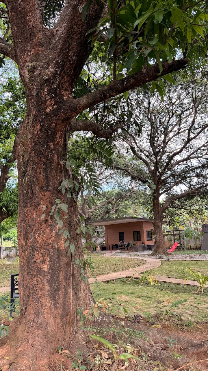 Tiny Cabin W/ Pool • Farm Stay (2–4 Pax) - Santa Maria