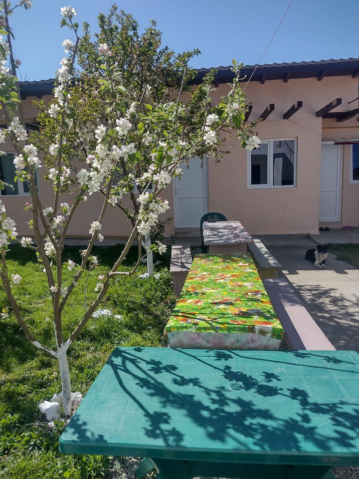 Maria Sunwaves3 - Costinești