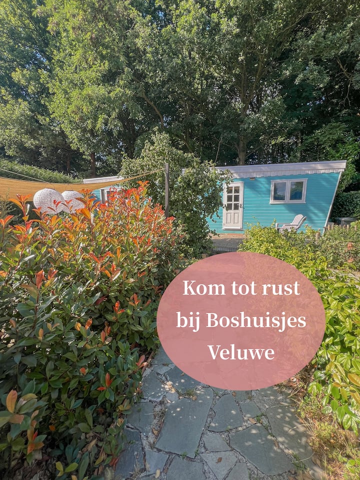 Sfeervol Boshuis Met Omheinde Tuin Aan Veluwse Bos - Ermelo, Netherlands