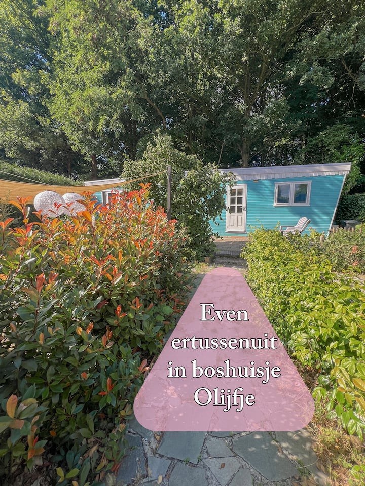 Boshuisjes Veluwe: Knus Olijfje Met Omheinde Tuin - Ermelo