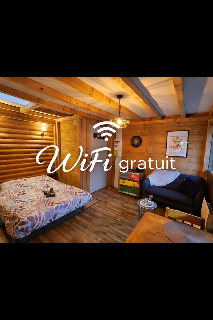 Studio Type Chalet - Xonrupt-Longemer