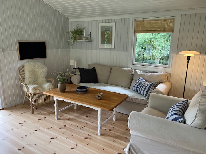 Hyggeligt Sommerhus Tæt På Skagen Og Badestrand - 덴마크