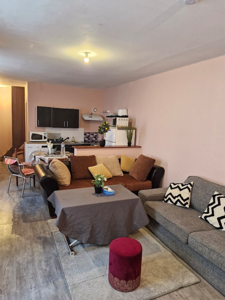 Appartement Au Centre Ville - Vierzon