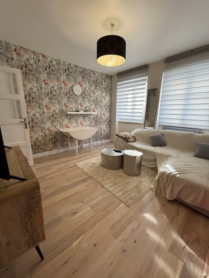 Coquet Appartement T3 En Plein Centre Ville - Brest