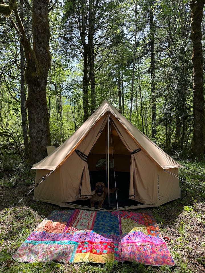 Bell Tent By The River Near Mt Rainier - Packwood, WA