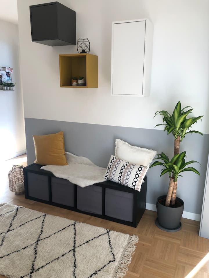 Appartement Lumineux Et Spacieux + Box Garage - Strassburg