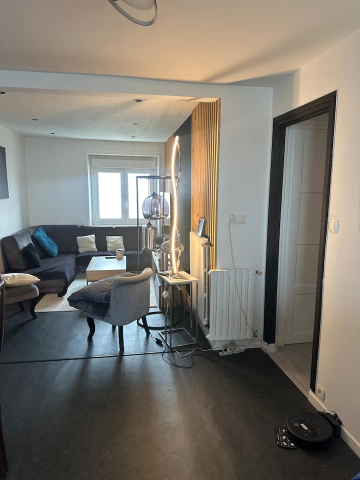 Appartement Lumineux Centre-ville Idéalement Situé - Brest