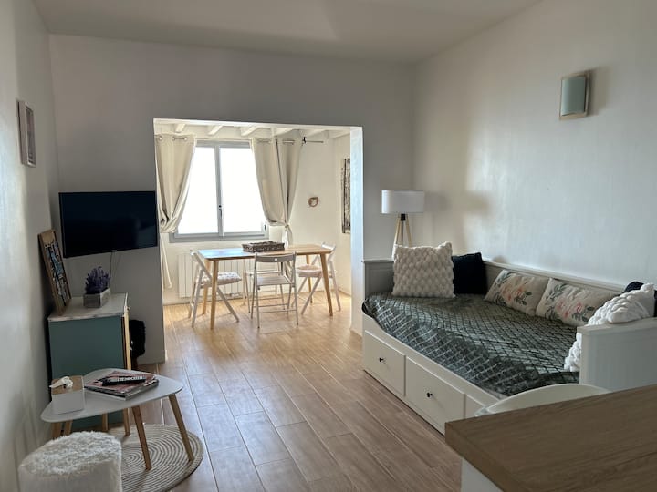 Superbe Appartement Face à La Mer (50 Mètres) - Six-Fours-les-Plages