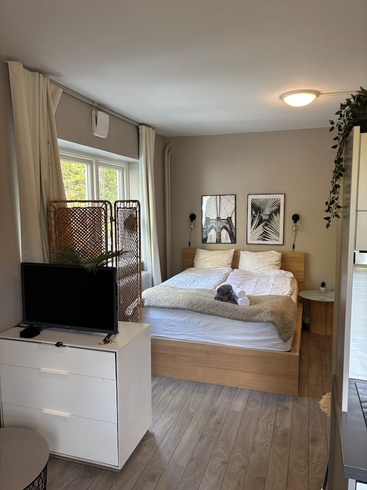 Cozy Studio,full Kitchen & Easy Access To Downtown - Oslo