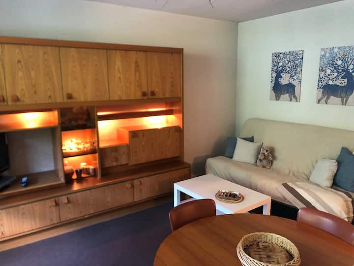 La Montagne Pour 4-6 Personnes? - Le Mont-Dore