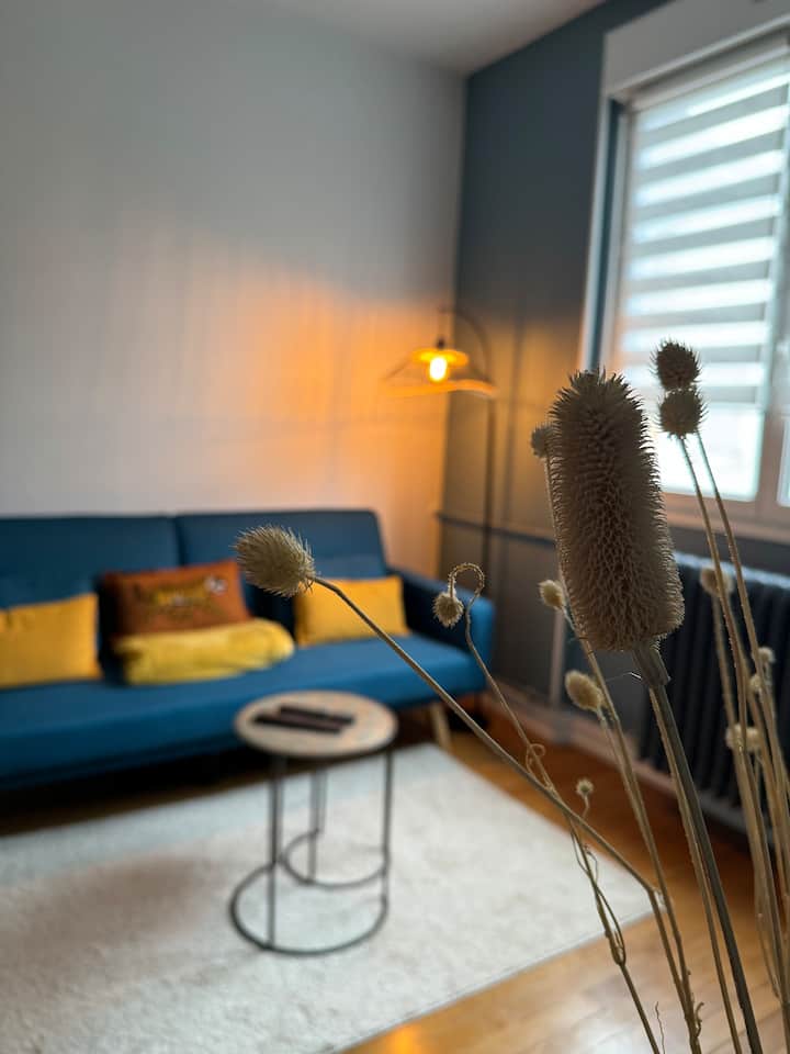 Suits_21 - Appartement 4 Personnes Dijon - Dijon