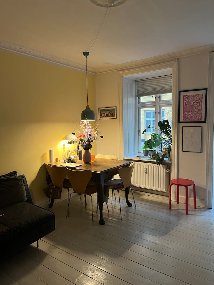 Hyggelig Hel Lejlighed I Hjertet Af Nørrebro - Copenhague