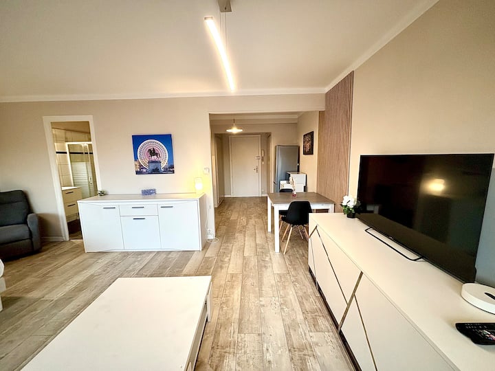 Grand T1, Parking, Balcon (Loc. Mensuelle) - Annemasse
