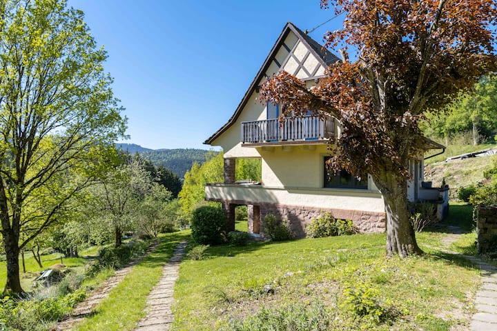 Maison Familiale • Vue Vallée De La Bruche - Champ du Feu