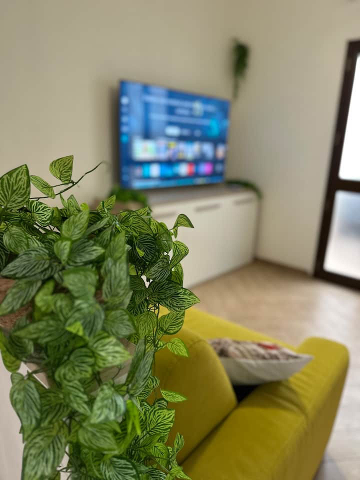 “Ciuri Di Sicilia”
Ortensia Apartment - Mazara del Vallo