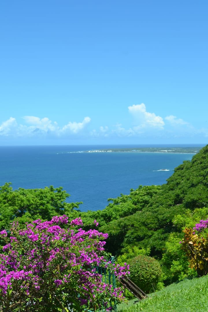 Tobago Oasis - Tobago
