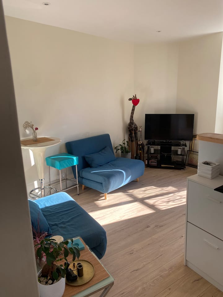 Appartement Cosy à Villejuif - Le Kremlin-Bicêtre